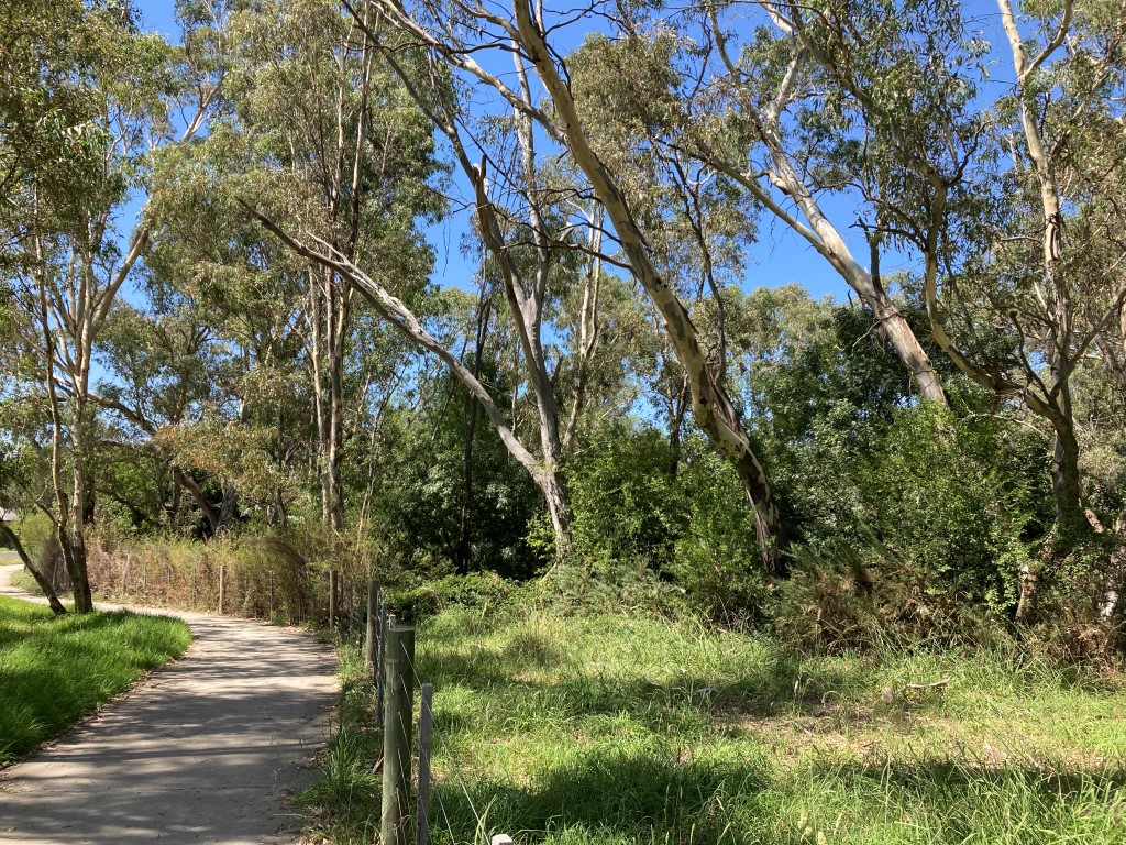 Ryalls Lane Sheepwash Creek Natural Reserve Management Plan | Natural ...